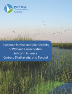 Restoring Wetlands: A Strategy to Address Climate, Biodiversity, and ...