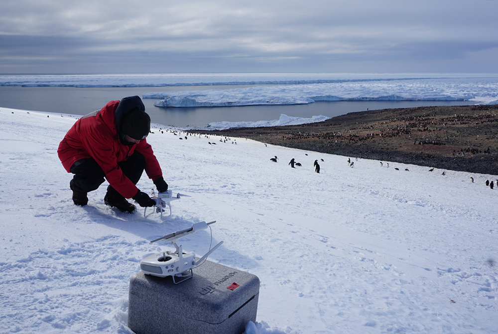 Science News: Penguins, Drones, Citizen Science, and More! - Point Blue