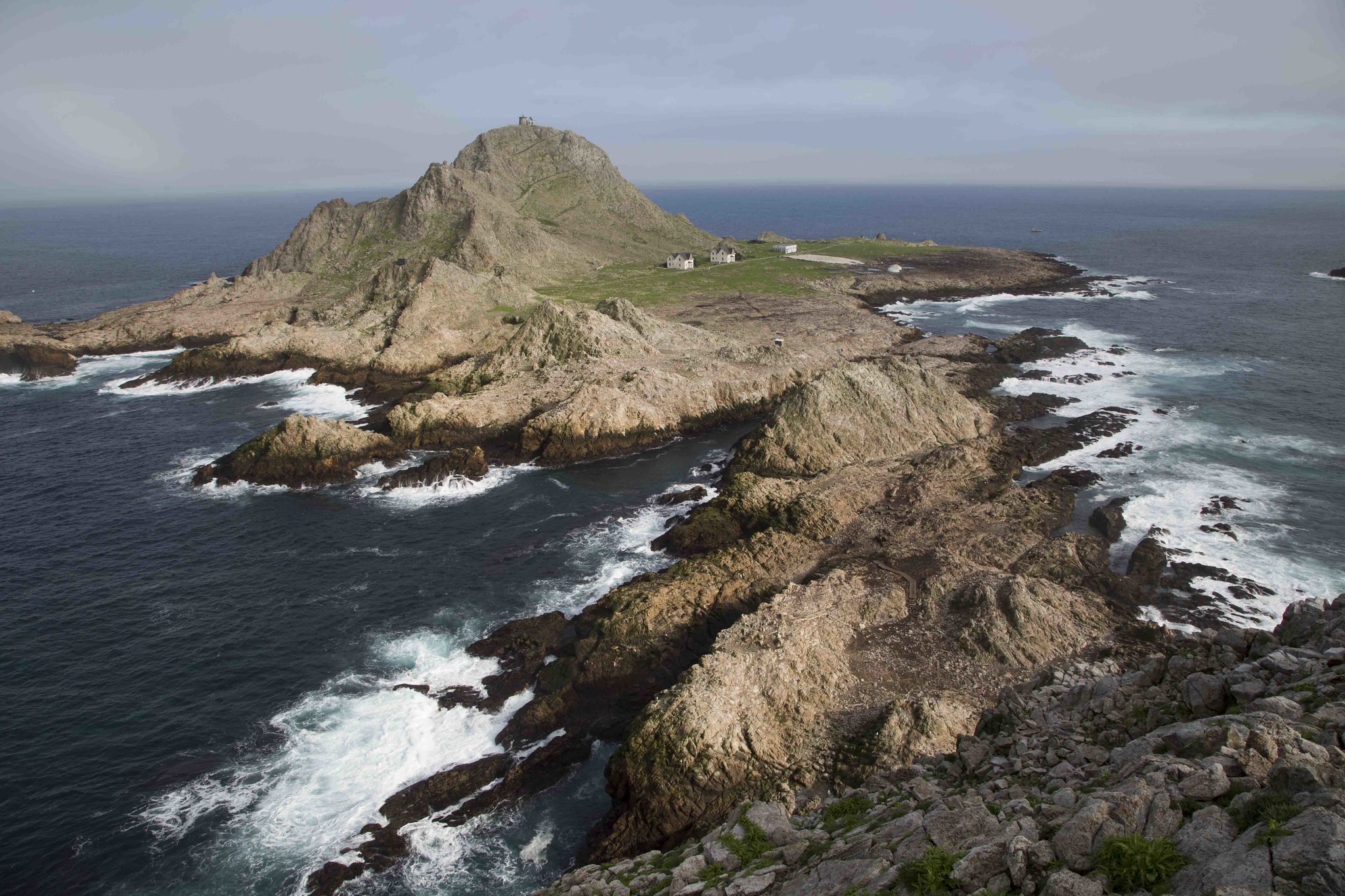 Farallon Islands Restoration Update - Point Blue