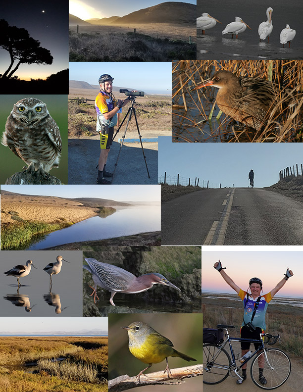Birding by Bicycle from the Breakers to the Bay - Point Blue