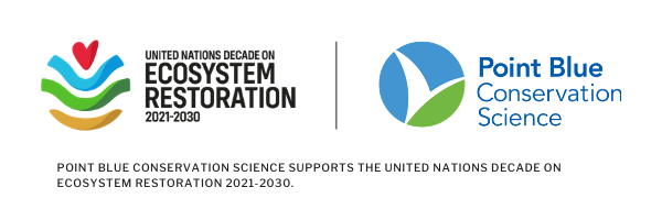 A Decade of Ambition - Point Blue