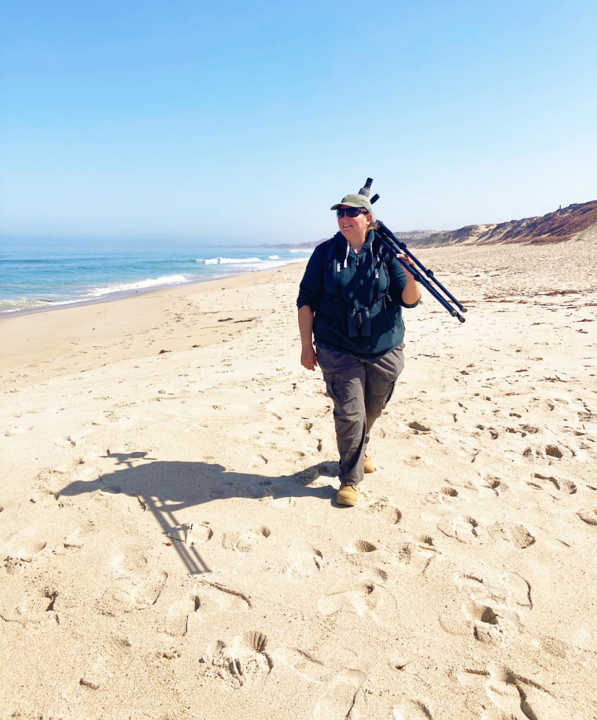 Strengthening the Strands, One Snowy Plover Flock at a Time - Point Blue